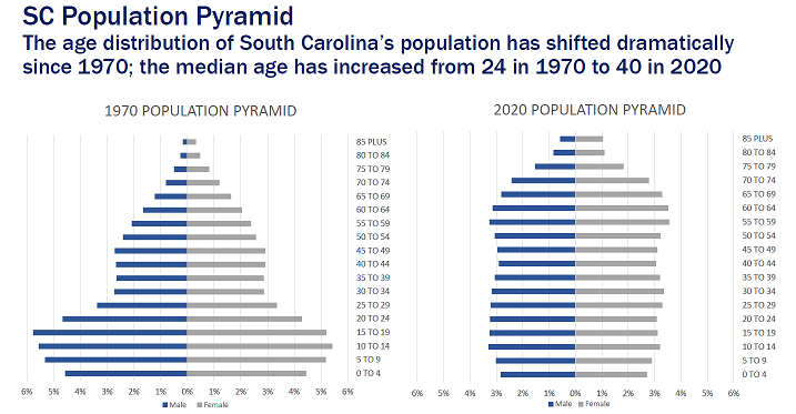 pyramids.png | South Carolina Revenue and Fiscal Affairs Office